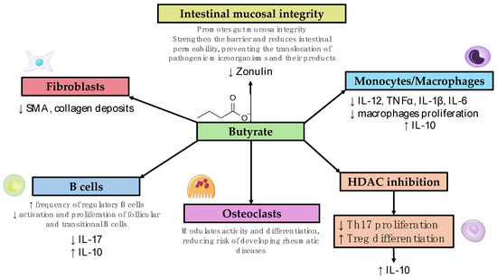 The Potential Role of Butyrate in the Pathogenesis and Treatment of ...