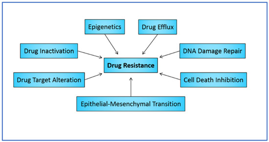 Overcoming Cancer Resistance: Strategies and Modalities for Effective ...
