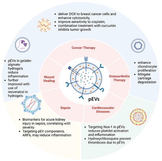 Beyond Blood Clotting: The Many Roles of Platelet-Derived Extracellular Vesicles
