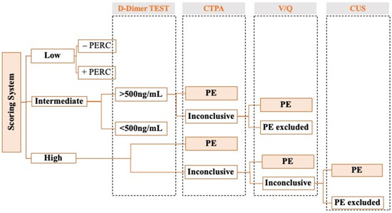 Decoding Pulmonary Embolism: Pathophysiology, Diagnosis, and Treatment