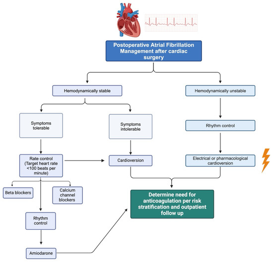 Postoperative Atrial Fibrillation: A Review