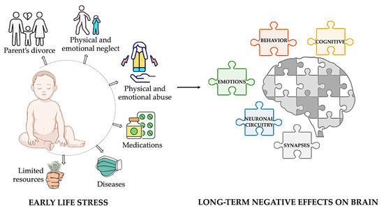 Enduring Neurobiological Consequences of Early-Life Stress: Insights ...