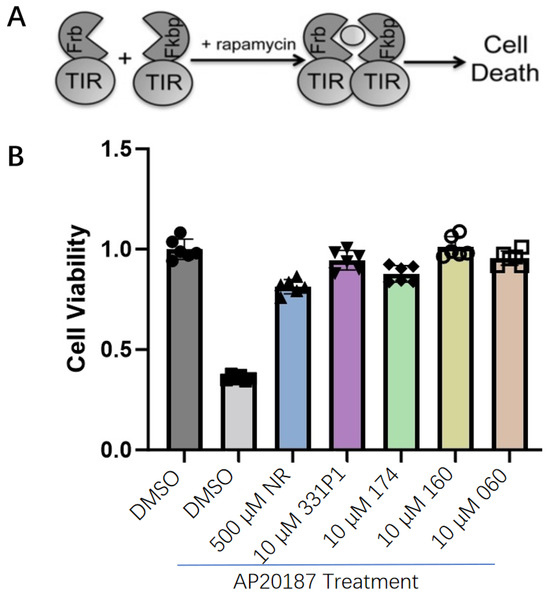 Characterization of Novel SARM1 Inhibitors for the Treatment of ...