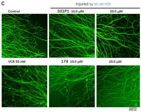 Characterization of Novel SARM1 Inhibitors for the Treatment of ...