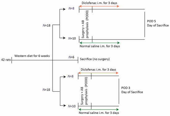 The Combined Effect of Western Diet Consumption and Diclofenac ...