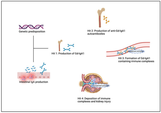 An Updated Comprehensive Review on Diseases Associated with Nephrotic ...
