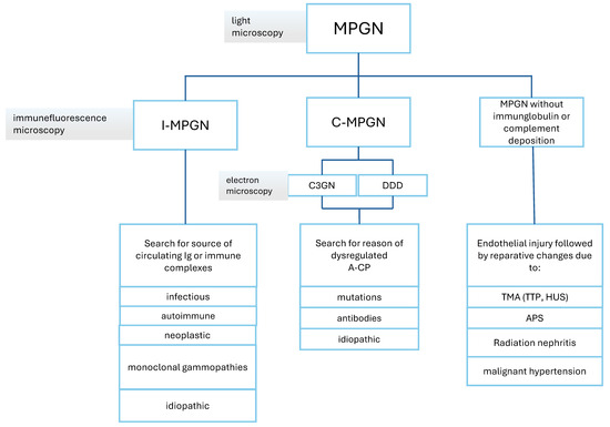 An Updated Comprehensive Review on Diseases Associated with Nephrotic Syndromes
