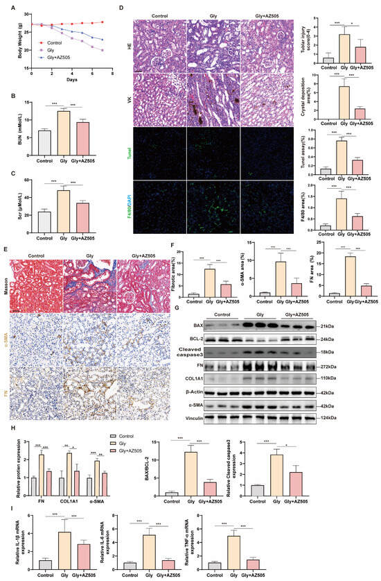 SMYD2 Promotes Calcium Oxalate-Induced Glycolysis in Renal Tubular ...