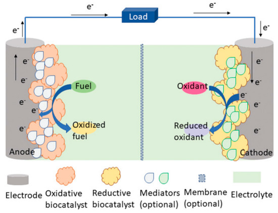 E-Skin and Its Advanced Applications in Ubiquitous Health Monitoring