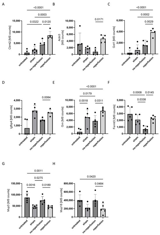 Mitochondrial Creatine Kinase 2 (Ckmt2) as a Plasma-Based Biomarker for ...