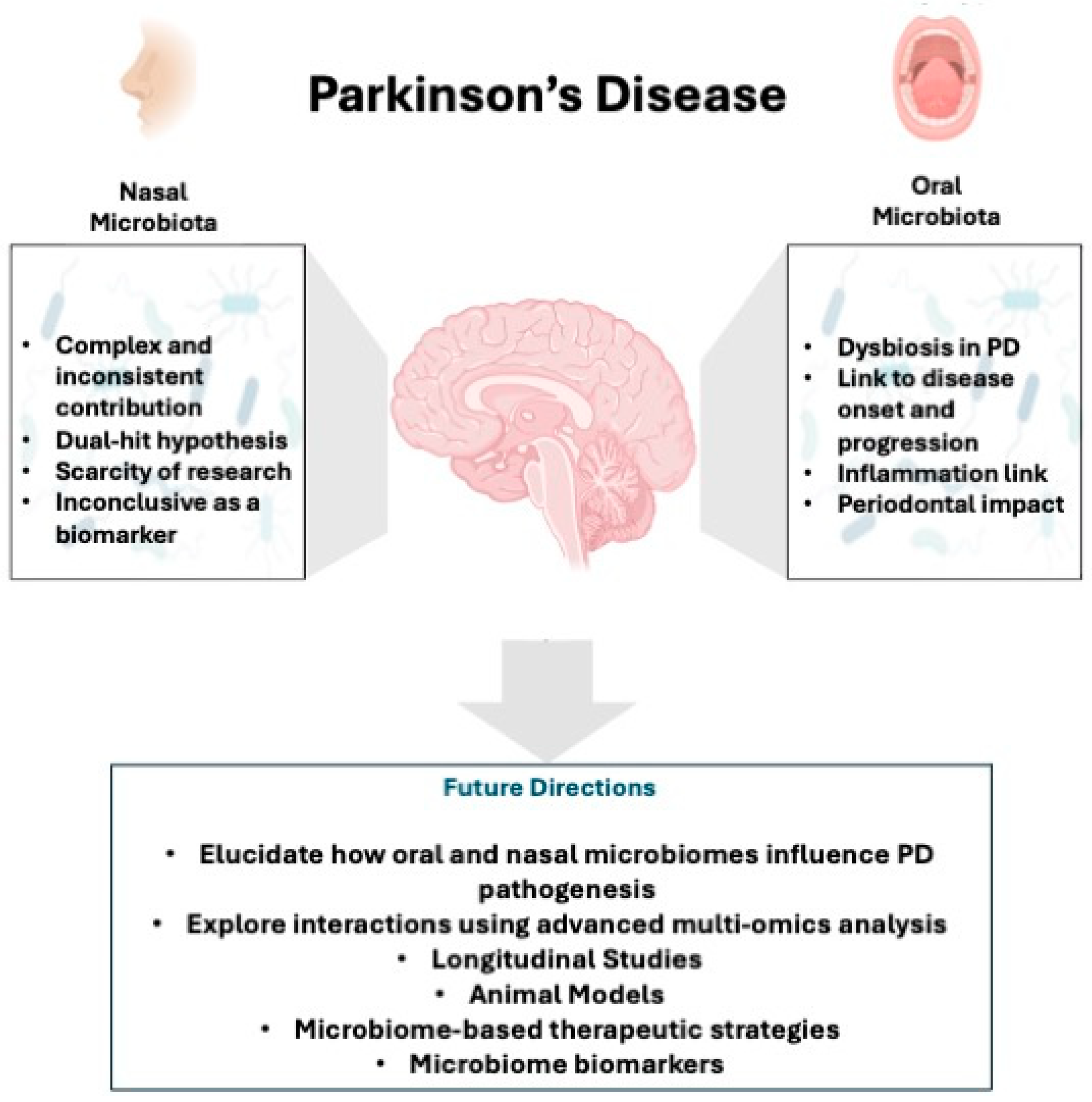 Microbiota Orchestra in Parkinson’s Disease: The Nasal and Oral Maestros