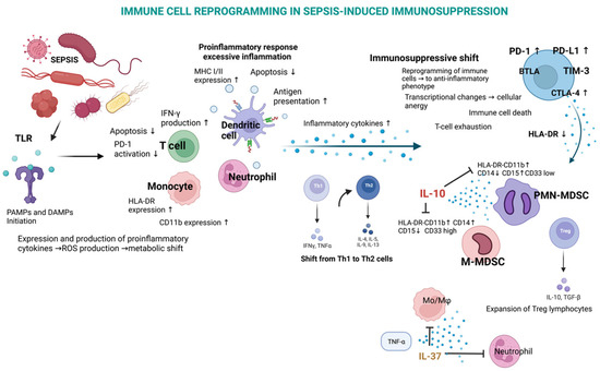Targeting Sepsis: Disease Tolerance, Immune Resilience, and ...