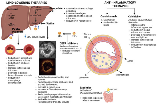 Reversal of Atherosclerotic Plaque Growth and Vulnerability: Effects of ...