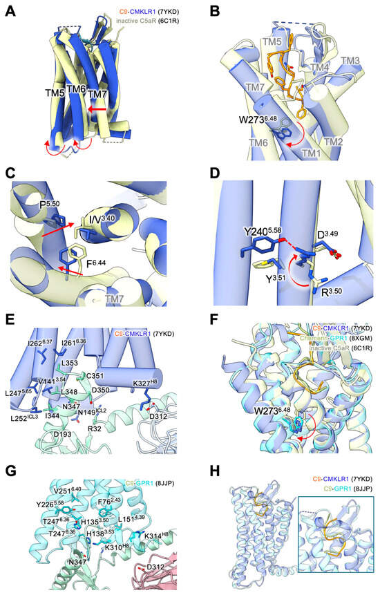 Structural Basis for Chemerin Recognition and Signaling Through Its ...