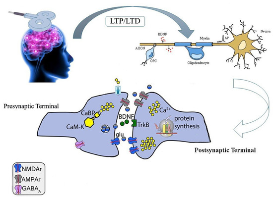 Harnessing Brain Plasticity: The Therapeutic Power of Repetitive ...