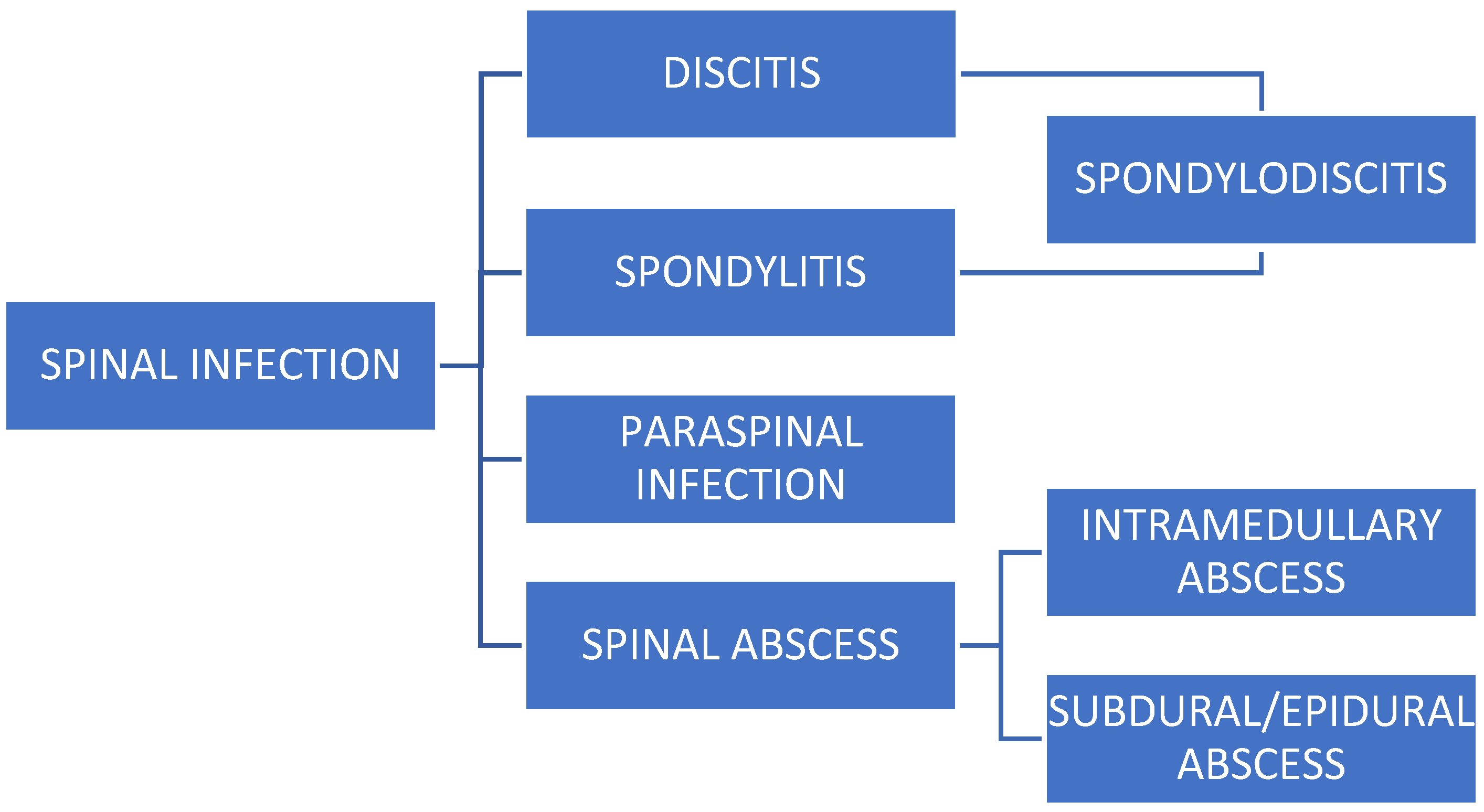 Spondylodiscitis and Its Mimickers: A Pictorial Review
