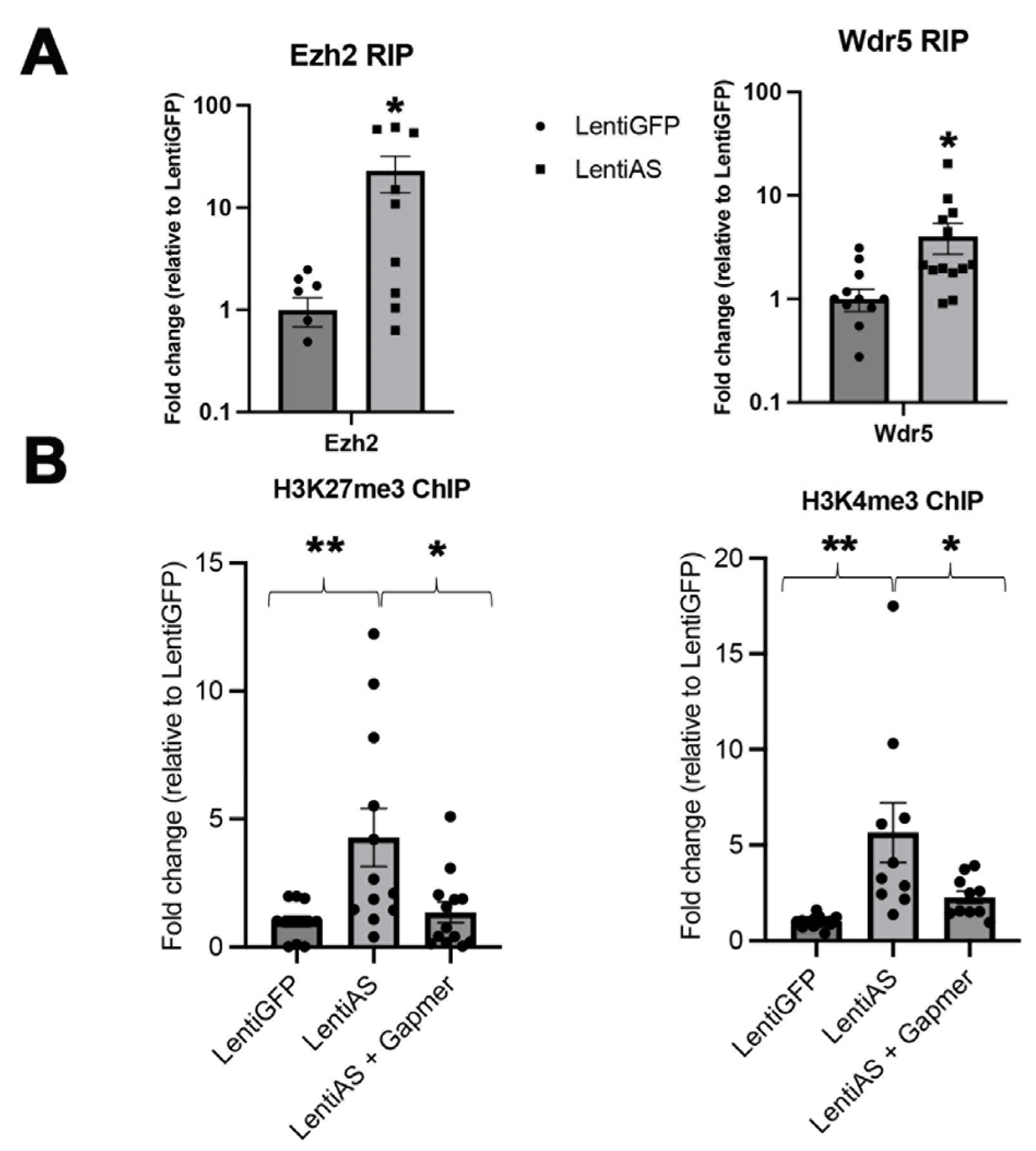 Role of the Egr2 Promoter Antisense RNA in Modulating the Schwann Cell ...
