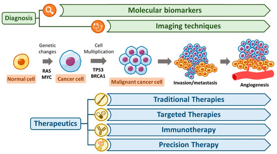 Diagnostics and Therapy for Malignant Tumors