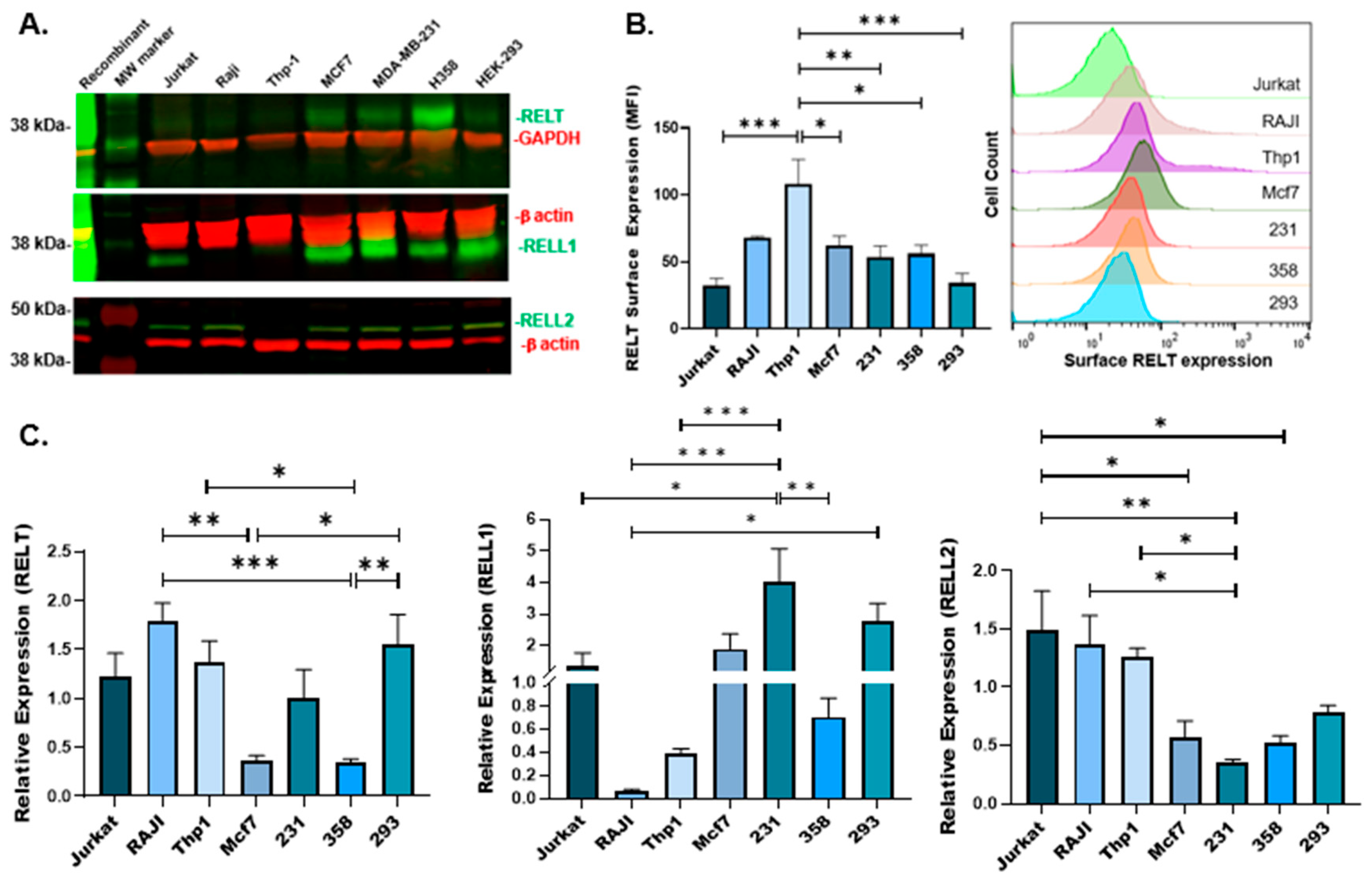 RELT Is Upregulated in Breast Cancer and Induces Death in Breast Cancer ...