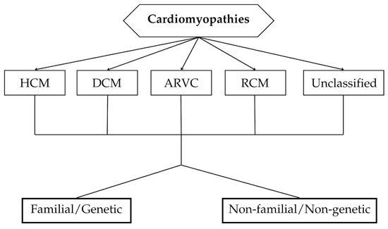 Hypertrophic Cardiomyopathy with Special Focus on Mavacamten and Its ...