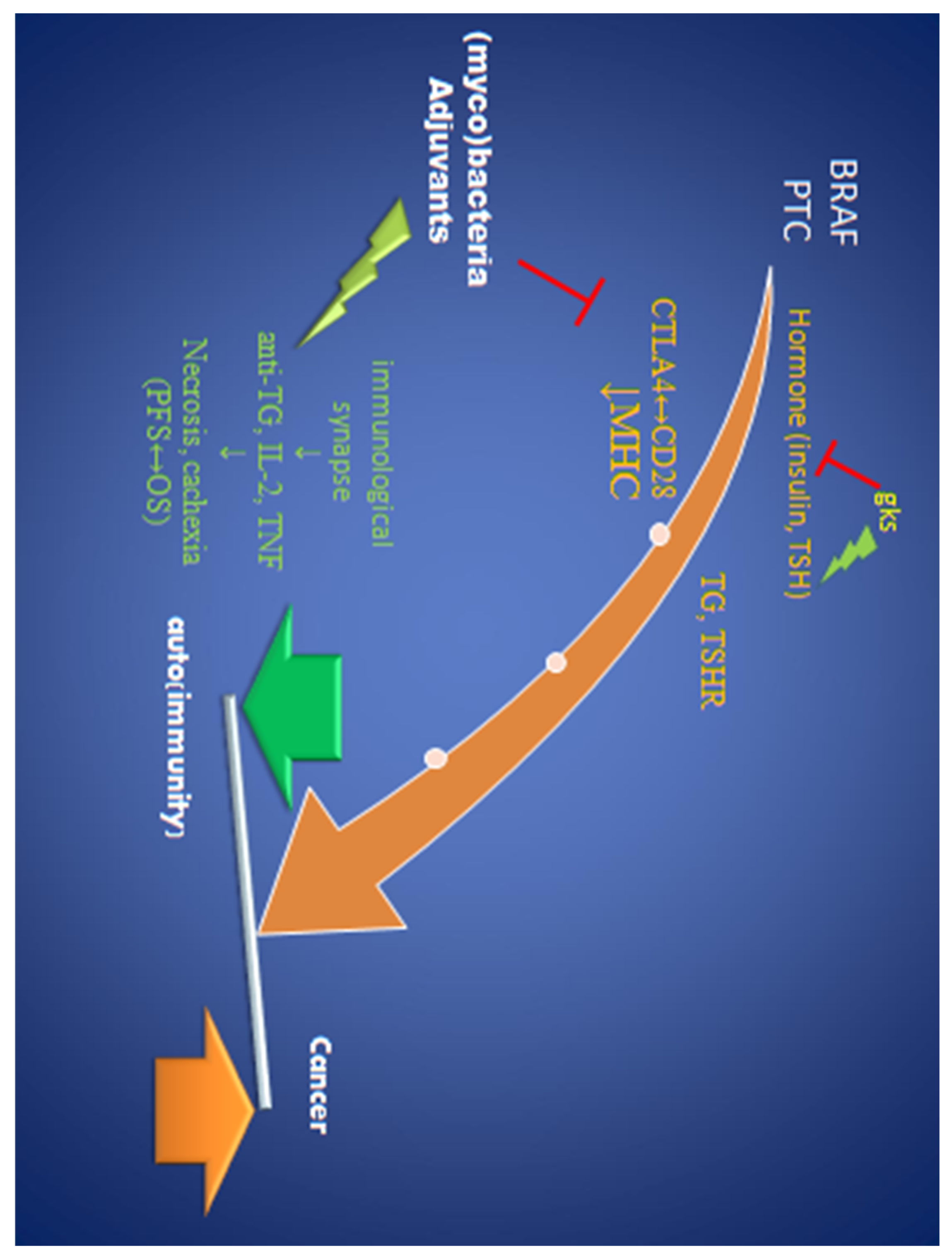 Progressive Cachexia: Tuberculosis, Cancer, or Thyrotoxicosis? Disease ...