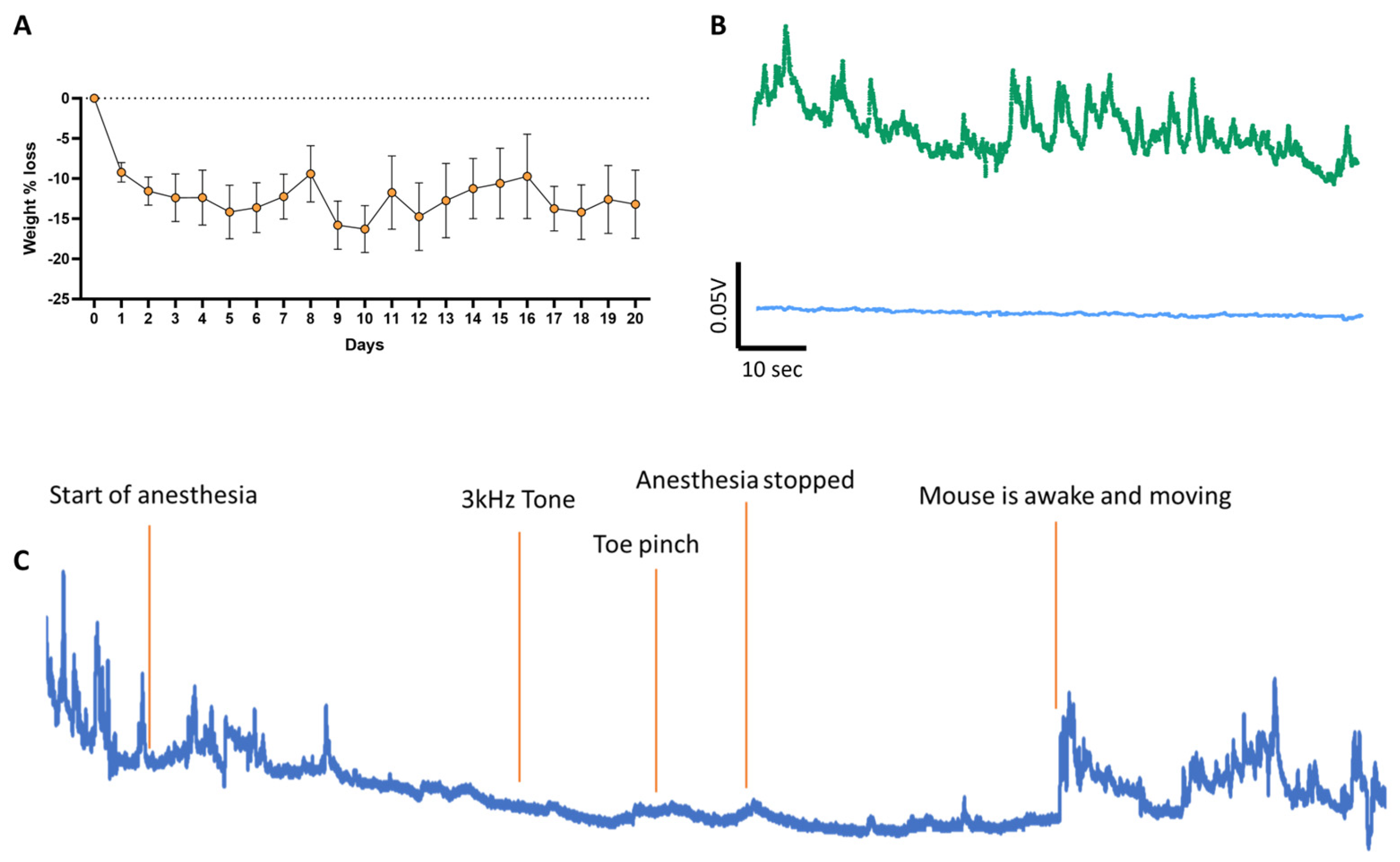 Direct Pathway Neurons in the Mouse Ventral Striatum Are Active During ...