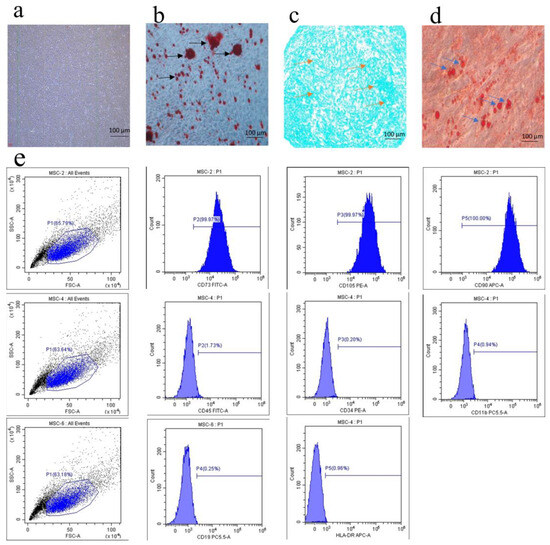 Human Umbilical Cord Mesenchymal Stem Cells Prevent Steroid-Induced ...