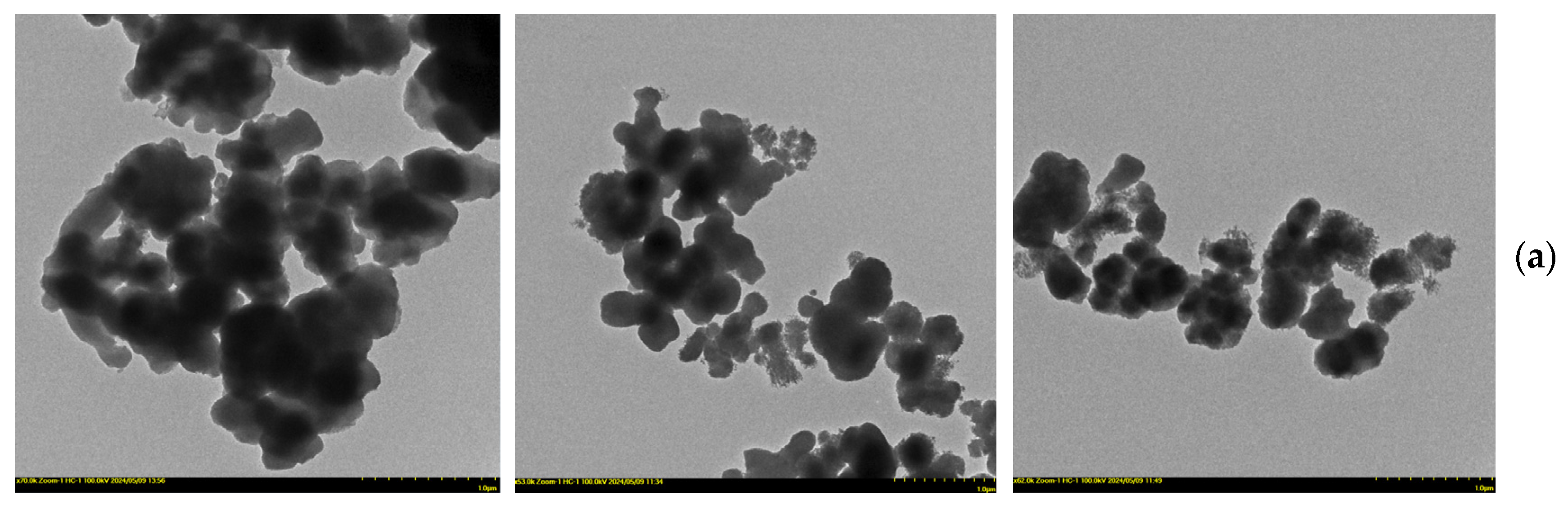 Multifractal Analysis and Experimental Evaluation of MCM-48 Mesoporous ...