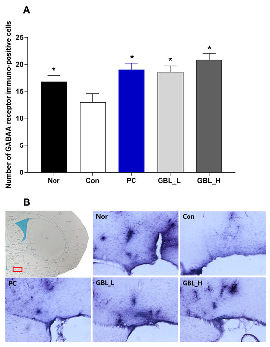 GABALAGEN Alleviates Stress-Induced Sleep Disorders in Rats