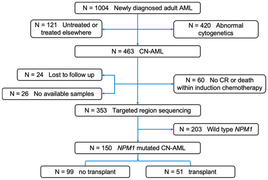 Acute Myeloid Leukemia with Normal Cytogenetics and NPM1-Mutation: Impact of Mutation Topography ...