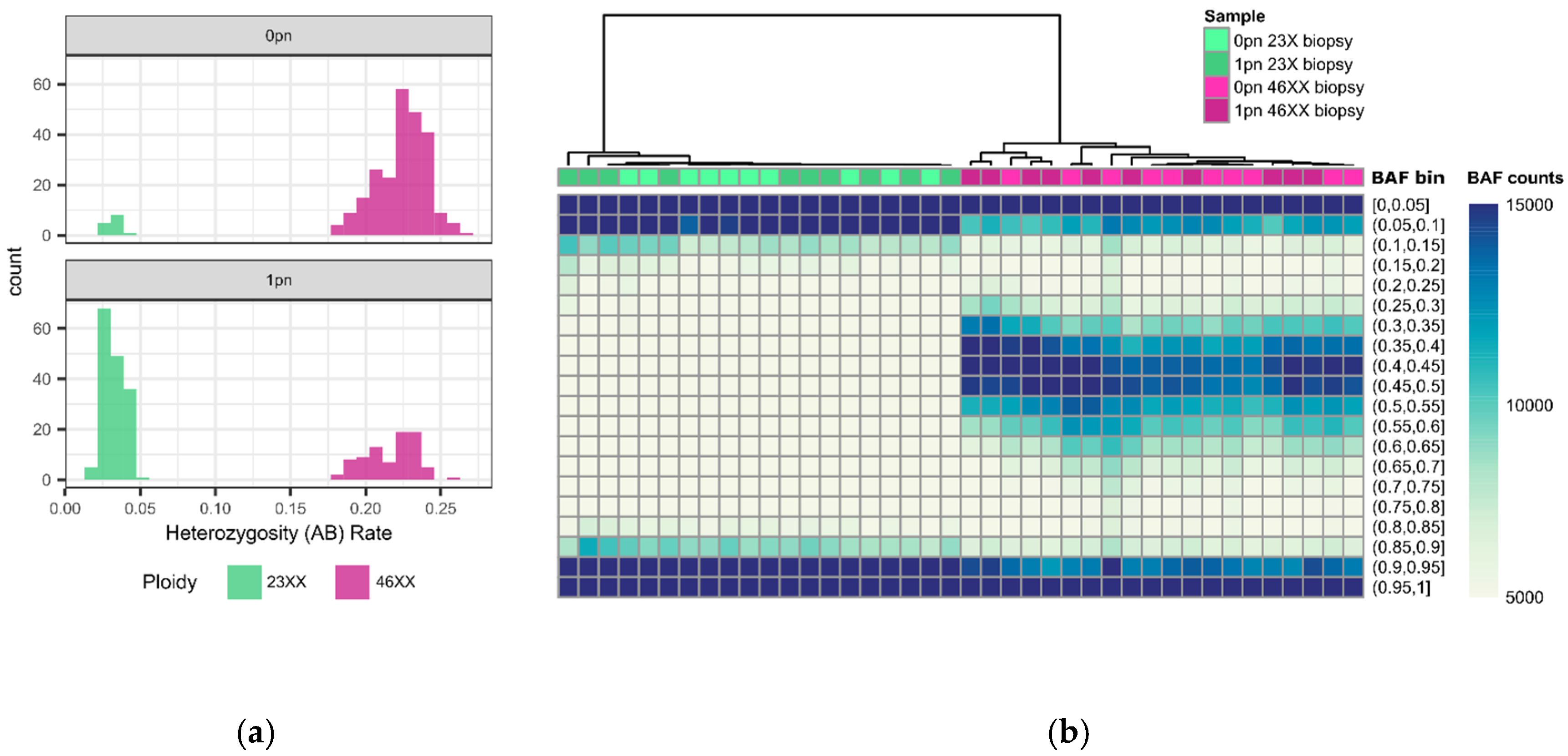 The Identification of Molecular Ploidy Status of Abnormal Pronuclear ...