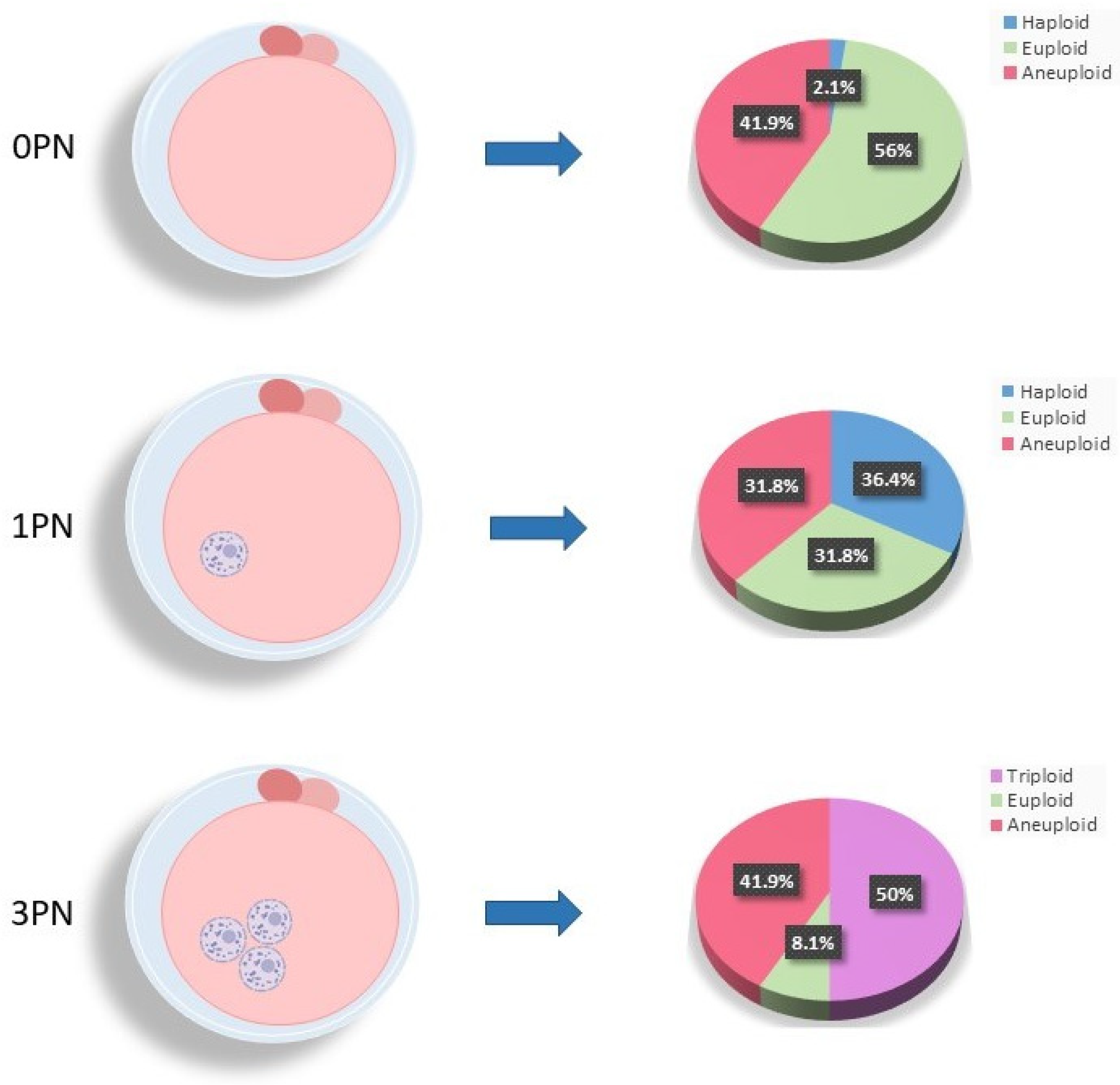 The Identification of Molecular Ploidy Status of Abnormal Pronuclear ...