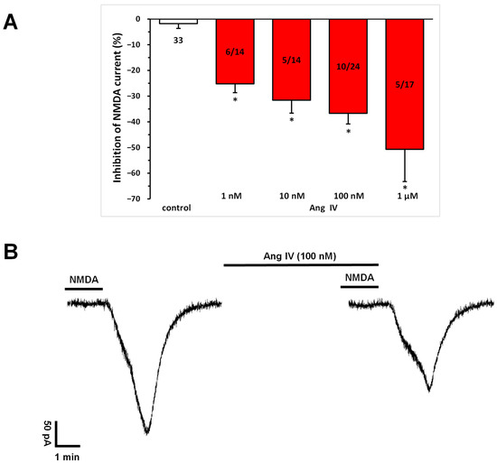 Angiotensin IV Receptors in the Rat Prefrontal Cortex: Neuronal ...