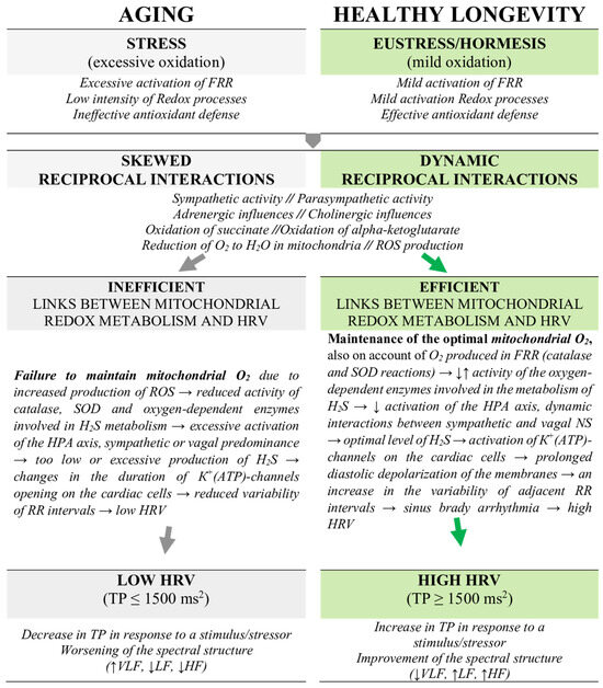 Redox Metabolism and Autonomic Regulation During Aging: Can Heart Rate ...