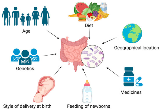 Malnutrition and Its Influence on Gut sIgA–Microbiota Dynamics