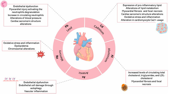 Environmental Pollutants as Emerging Concerns for Cardiac Diseases: A ...