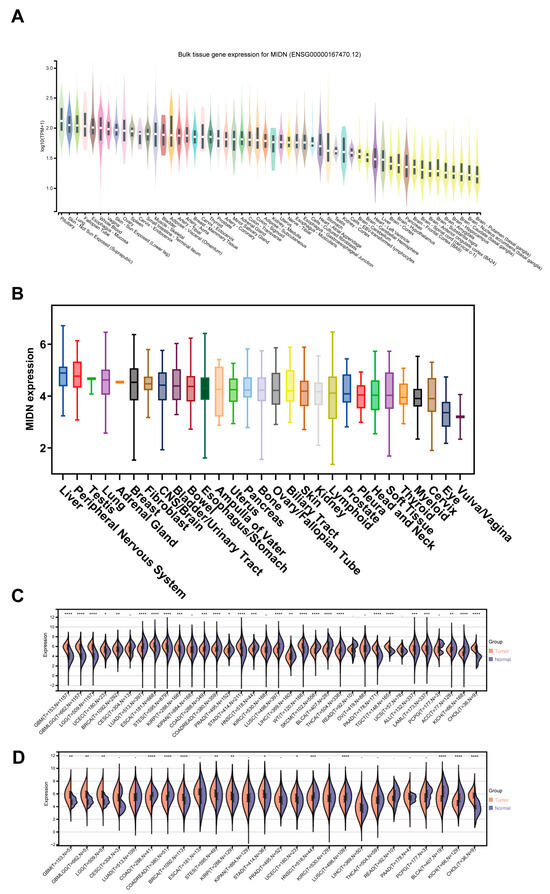 Comprehensive Analysis Reveals Midnolin as a Potential Prognostic ...