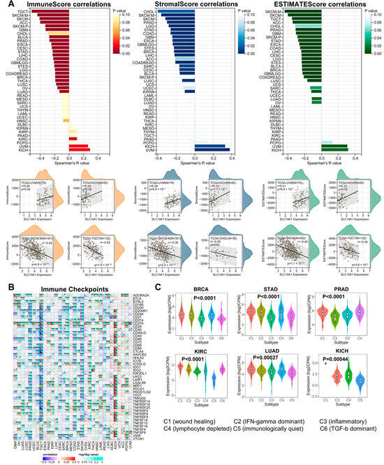Pan-Cancer Characterization Identifies SLC19A1 as an Unfavorable ...