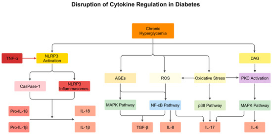 Cytokine Signaling in Diabetic Neuropathy: A Key Player in Peripheral ...