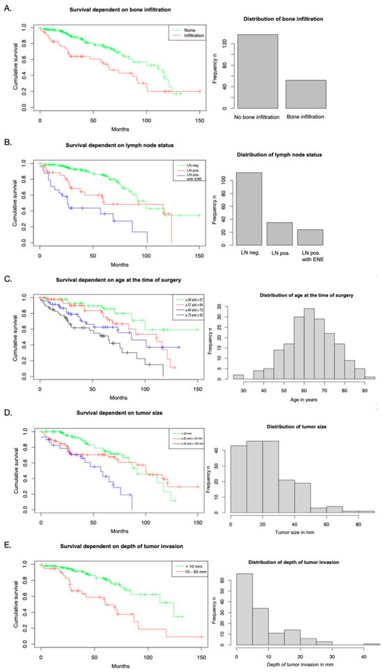 Staging and Treatment Implications in Small Oral Squamous Cell ...