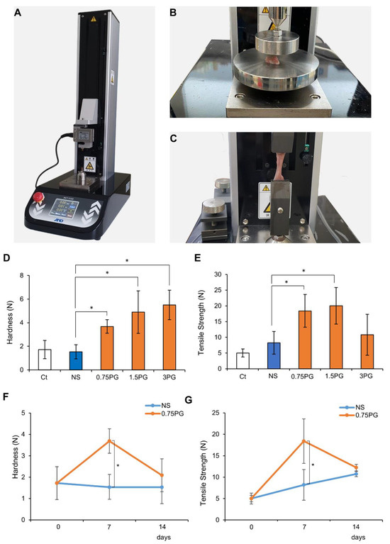 Intraparenchymal Penicillin G Injection Promotes Wound Healing and ...