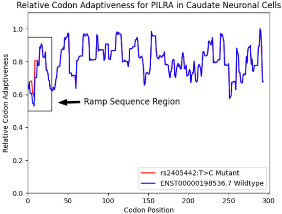 Ramp Sequence May Explain Synonymous Variant Association with Alzheimer ...