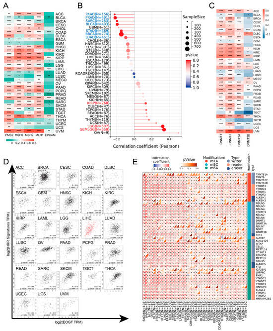 Migrasome Marker Epidermal Growth Factor Domain-Specific O-GlcNAc ...