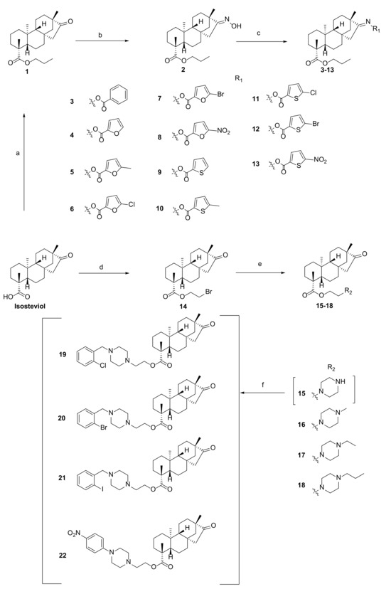 Synthesis and Evaluation of Isosteviol Derivatives: Promising ...