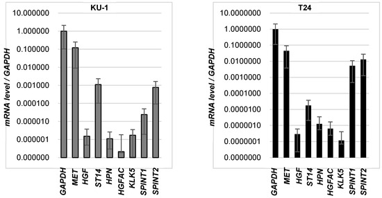 Engineered Expression of Hepatocyte Growth Factor Activator Inhibitor-1 ...