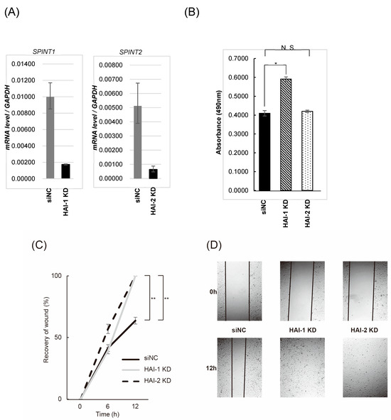 Engineered Expression of Hepatocyte Growth Factor Activator Inhibitor-1 ...