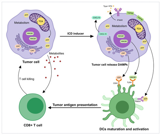 Immunogenic Cell Death and Metabolic Reprogramming in Cancer ...