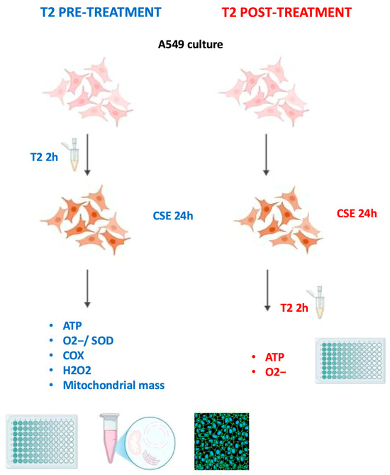 Protective Action of 3,5-Diiodo-L-Thyronine on Cigarette Smoke-Induced Mitochondrial Dysfunction ...