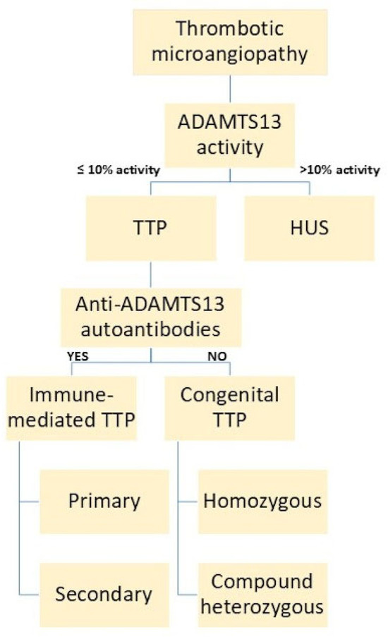 Thrombotic Thrombocytopenic Purpura in Pediatric Patients