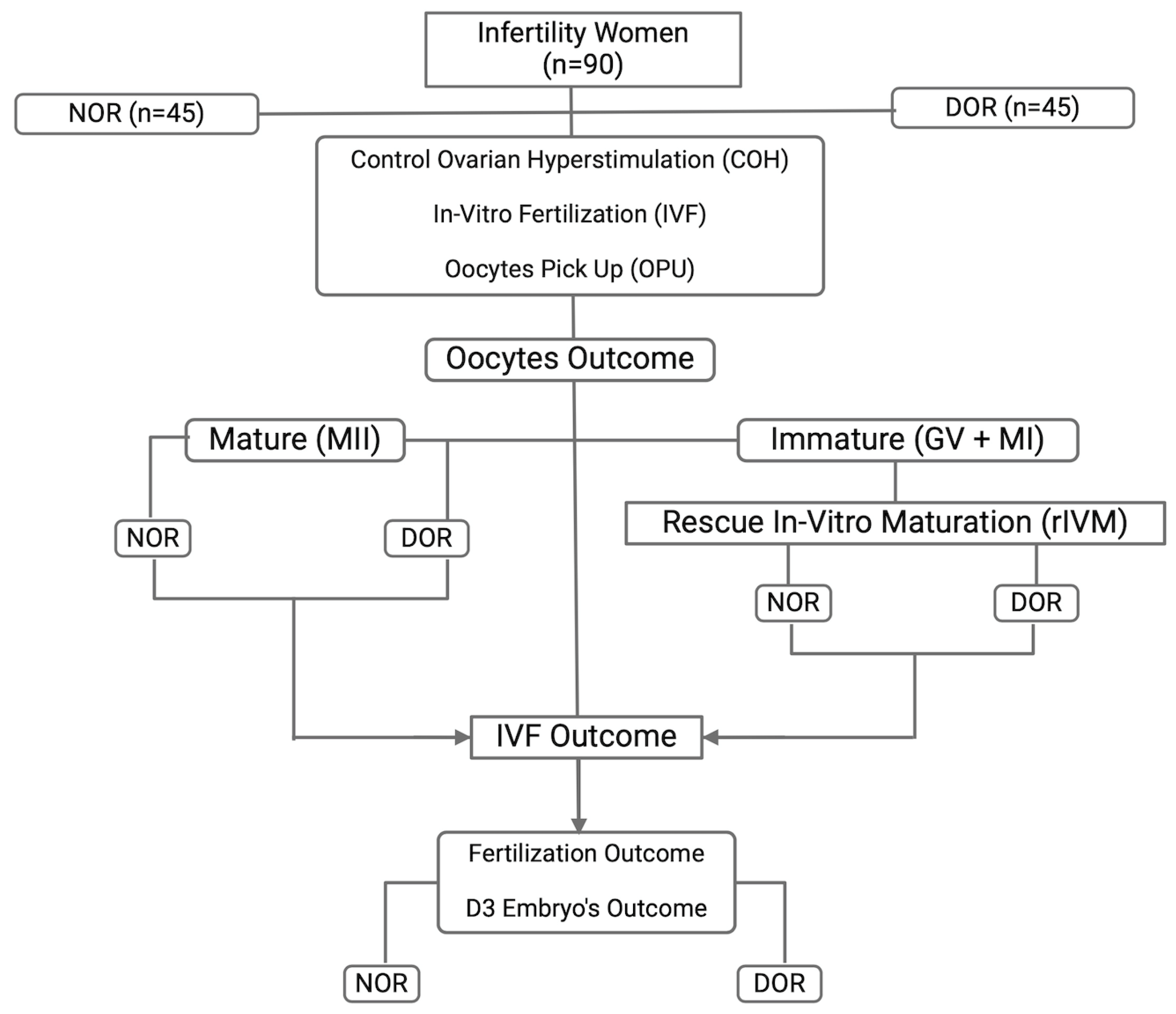 Comparative Analysis of Rescue-In Vitro-Maturation (r-IVM) Outcomes in ...